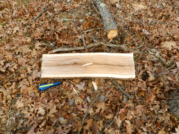 The Humble Hewing Bench | Rainford Restorations